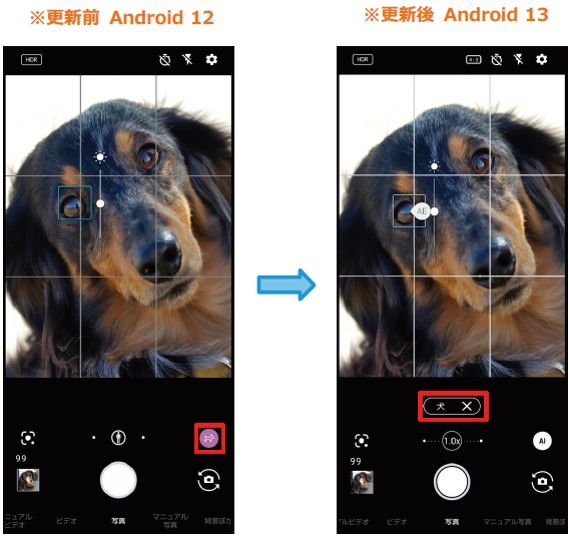 AQUOS sense6s(アクオス センスシックスエス)SHG07 OS AQUOS sense6s(アクオス センスシックスエス)SHG07 OS