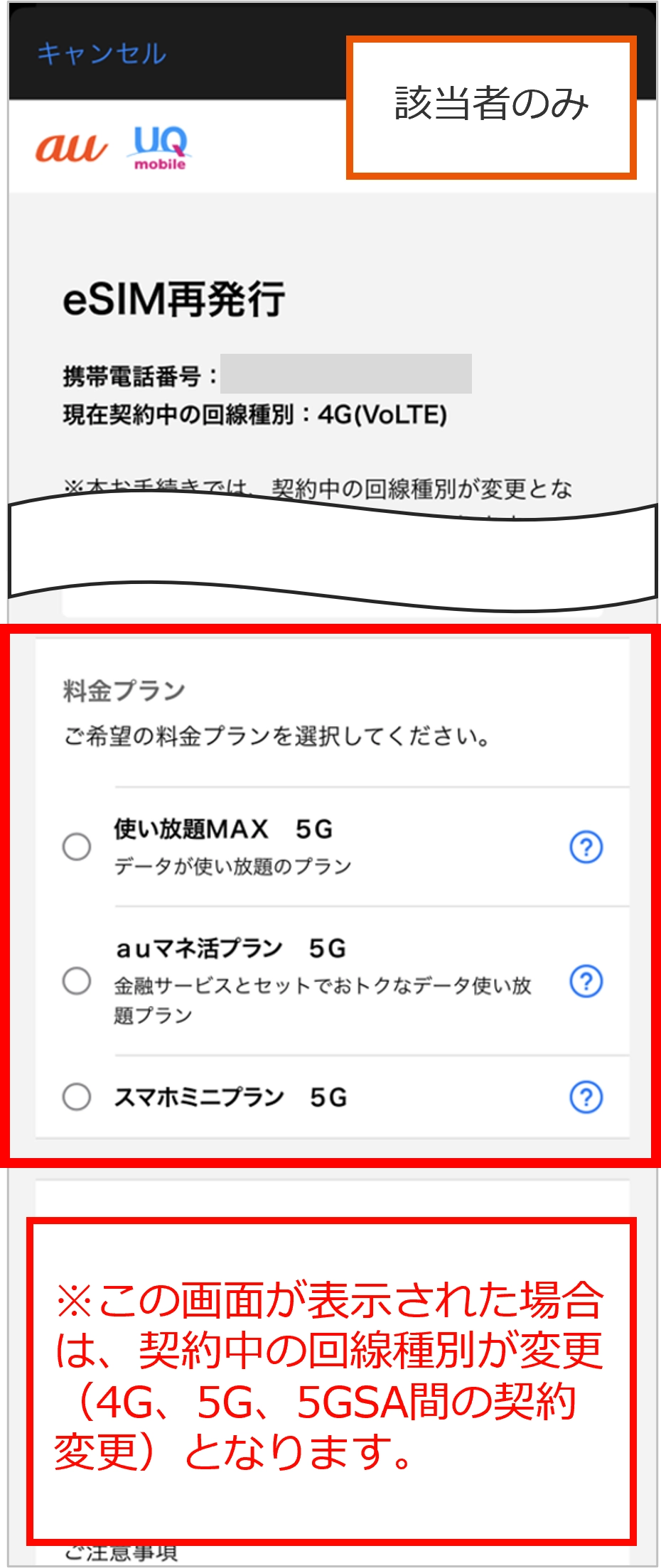 eSIM：機種の変更／eSIM再発行／eSIM転送のお手続き | au